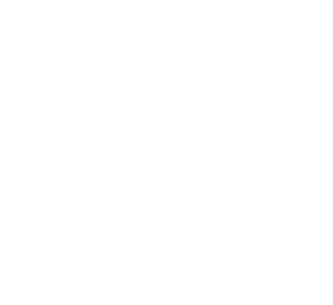 Homepage - Professional Learning Institute